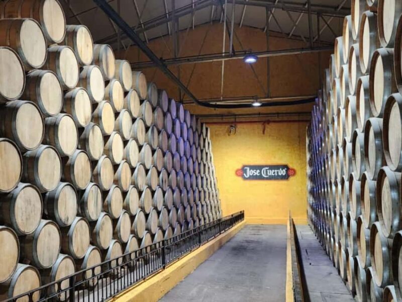From Guadalajara to Cuervo. Worlds Largest Tequila Factory - Key Points