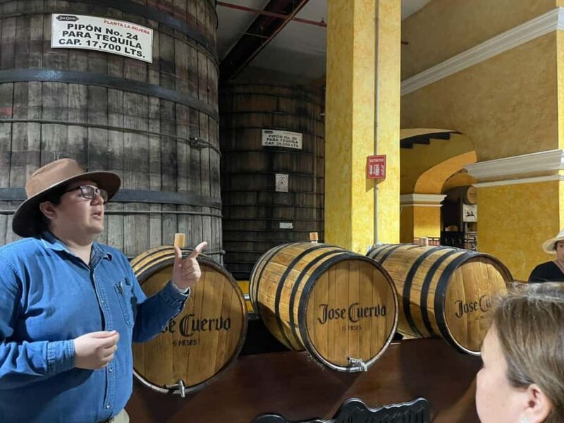 From Guadalajara to Cuervo. Worlds Largest Tequila Factory - The Highlights of the Tour