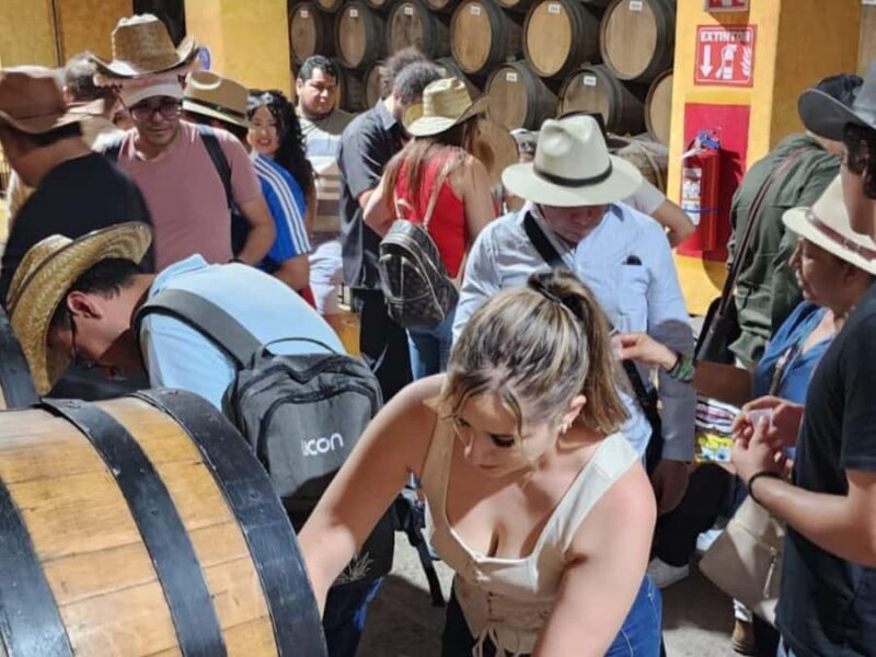 From Guadalajara to Cuervo. Worlds Largest Tequila Factory - Who Should Consider This Tour?