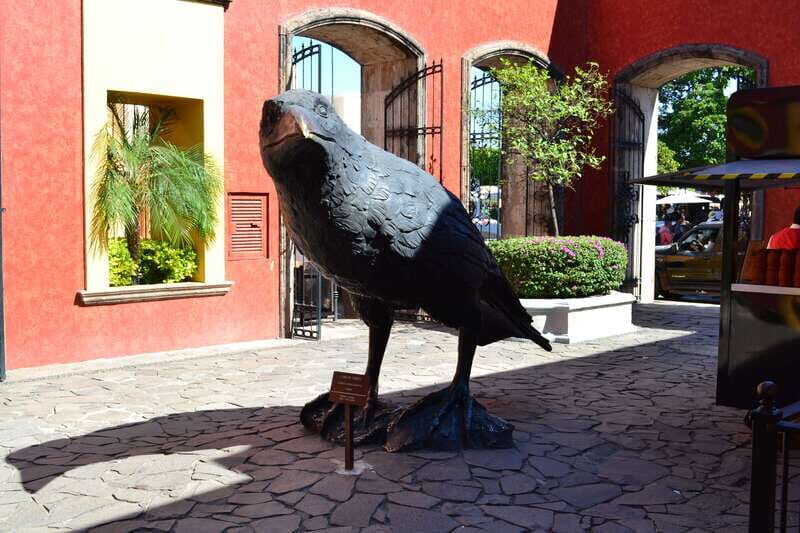 From Guadalajara: Town of Tequila & Jose Cuervo Factory Tour - Who is this Tour Best Suited For?