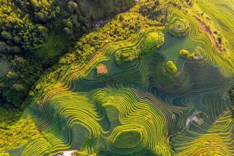 From Guilin: 1-Day Private Longji Rice Terraces Tour - Key Points