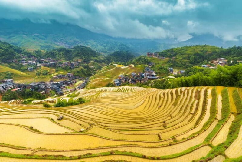 From Guilin: 1-Day Private Longji Rice Terraces Tour - What to Expect from the Tour
