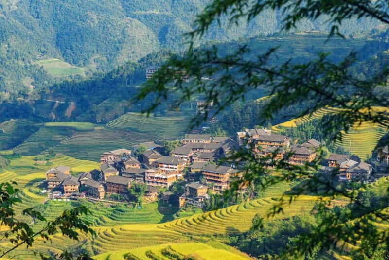 From Guilin: 1-Day Private Longji Rice Terraces Tour - Detailed Breakdown of the Itinerary
