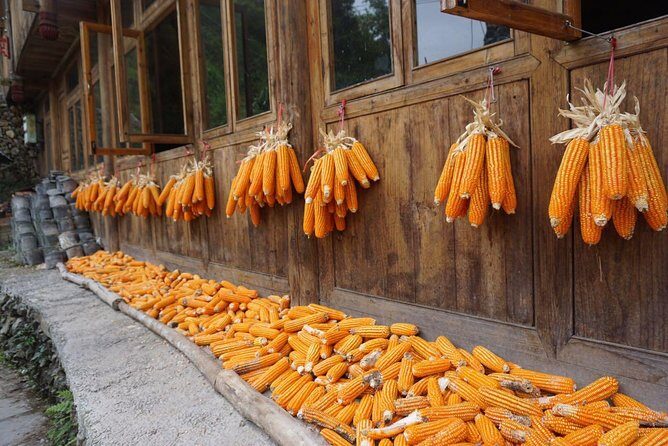 From Guilin/Yangshuo: Longji Rice Terraces and Ethnic Minority Village Day Tour - FAQ