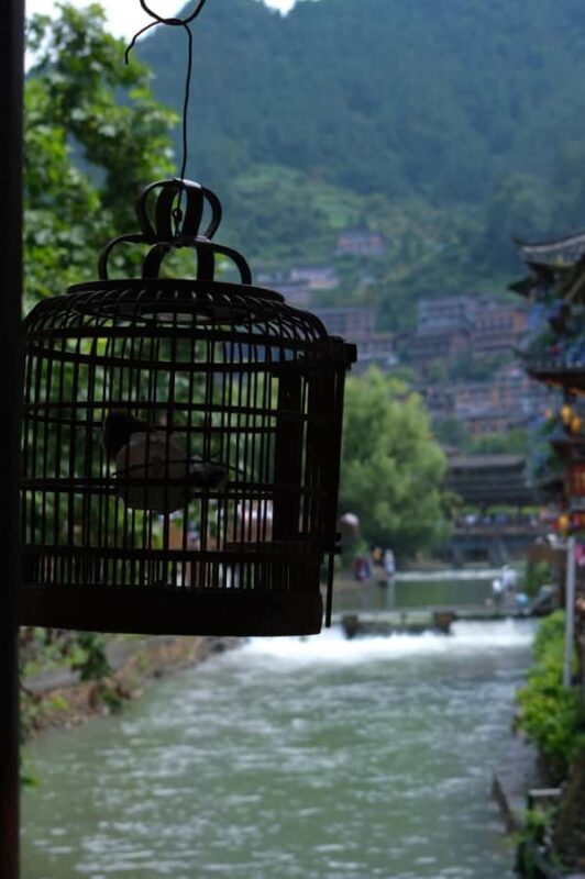 From Guiyang: Miao Village, Ceremony, Ciba Demo & Miao Lunch - Who Is This Tour Best For?