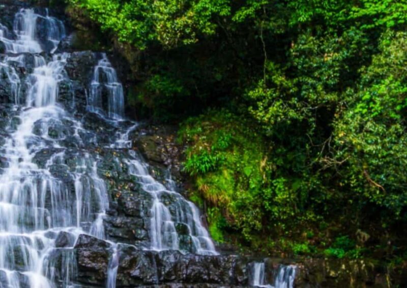 From Guwahati: Shillong Guided Day Tour - Practical Details