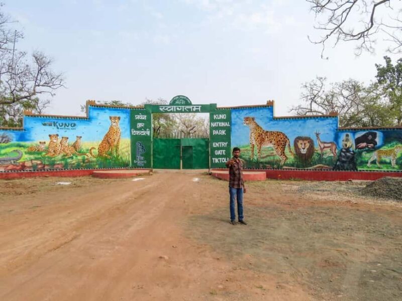 From Gwalior : Kuno National Park Safari Tour 3D/2N - What Makes This Tour Stand Out?