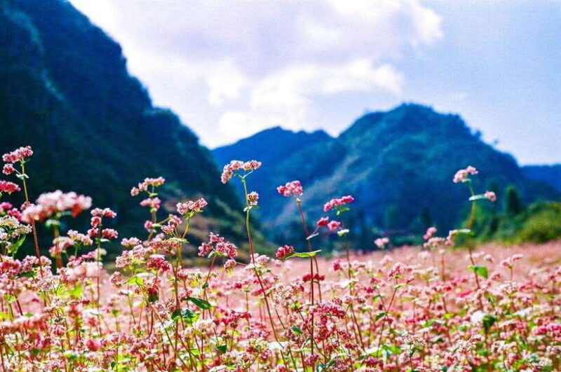 From Ha Giang: 2-Days 1-Night Ha Giang Loop Motorbike Tour - Key Points