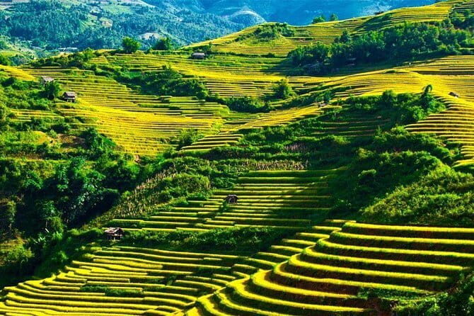From Ha Giang: Motorbike Tour 3D2N (Small Group with Easy Riders) - What Travelers Can Expect From This Adventure