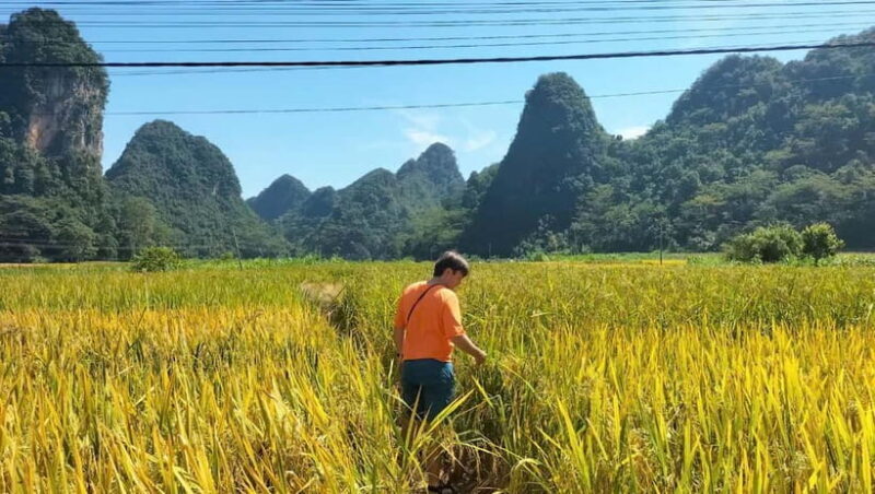 From Ha Noi: 3-Day Cao Bang Loop Tour Visit Local Village - Key Points