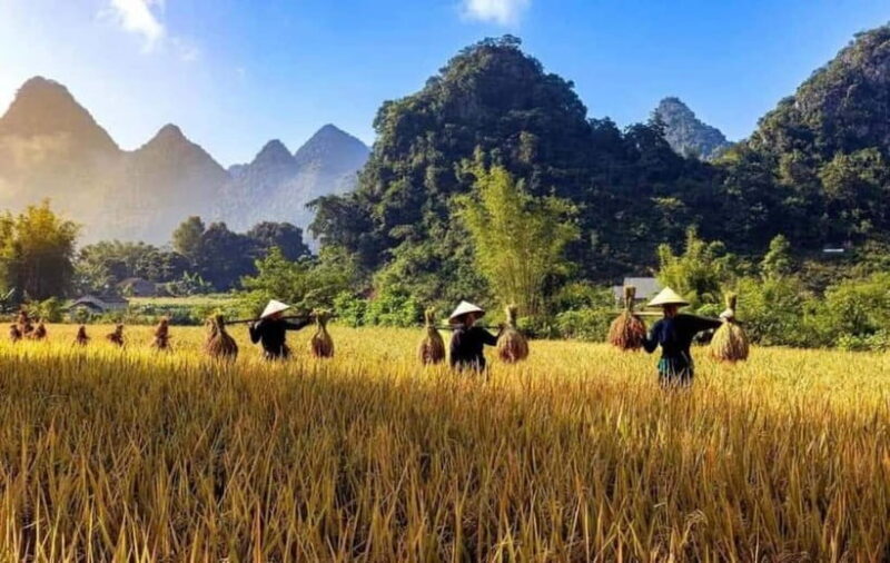 From Ha Noi: Cao Bang Loop Group Motorbike Tour 4 Day - FAQ