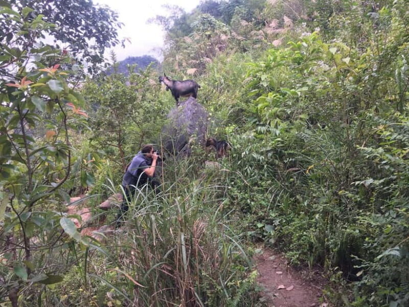 From Ha Noi: Cao Bang Loop Trekking Tour : 2 Day 1 Night - Transport and Accommodation