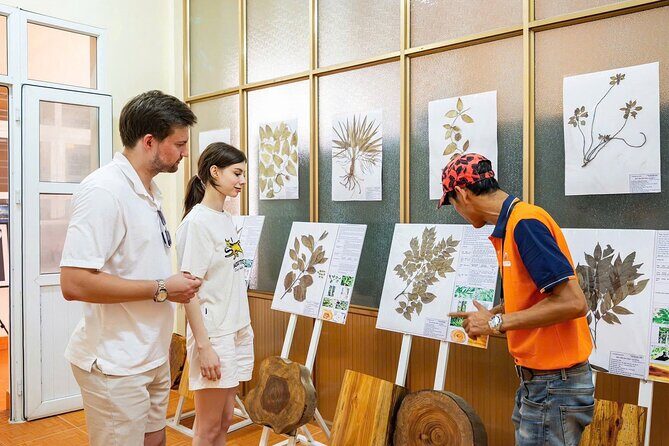 From Ha Noi/Cat Ba: Lan Ha bay - Ha Long Bay Cruise Guided 1-Day - Who’s This Tour Best For?