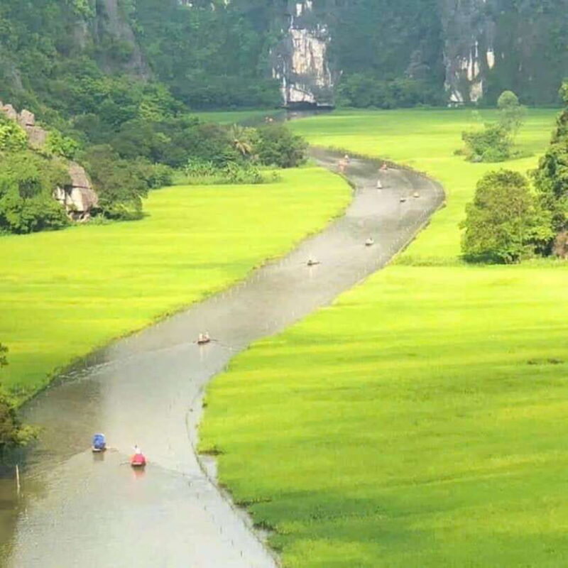From Ha Noi: Hoa Lu, Tam Coc, Mua Cave Day - Authentic Experiences and Traveler Opinions