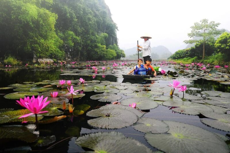 From Ha Noi: Visit Perfume Pagoda In 1 Day - Who should consider this tour?