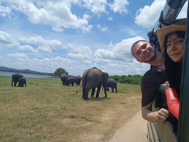 From Habarana: Minneriya National Park 4x4 Jeep Safari - What Makes This Safari Special