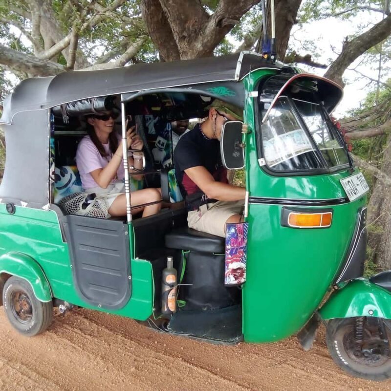 From Habarana: Polonnaruwa Ancient City Tour by Tuk-Tuk - What to Expect from This Tour