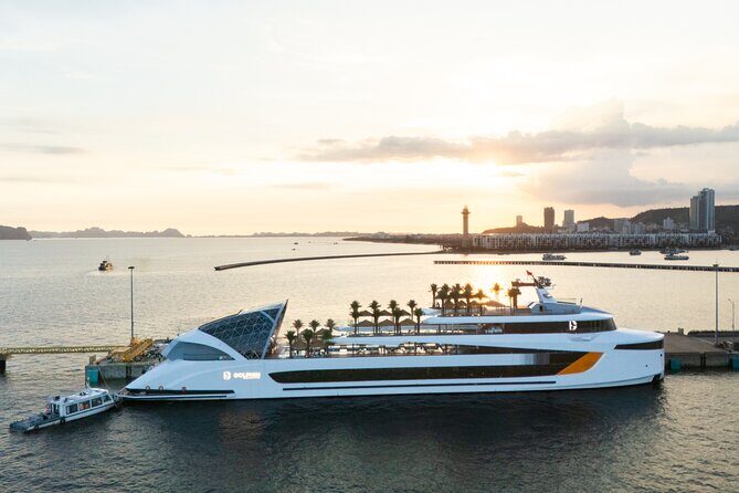 From Habor: Dolphin 5-Star Luxury Day Cruise through Halong Bay - Key Points