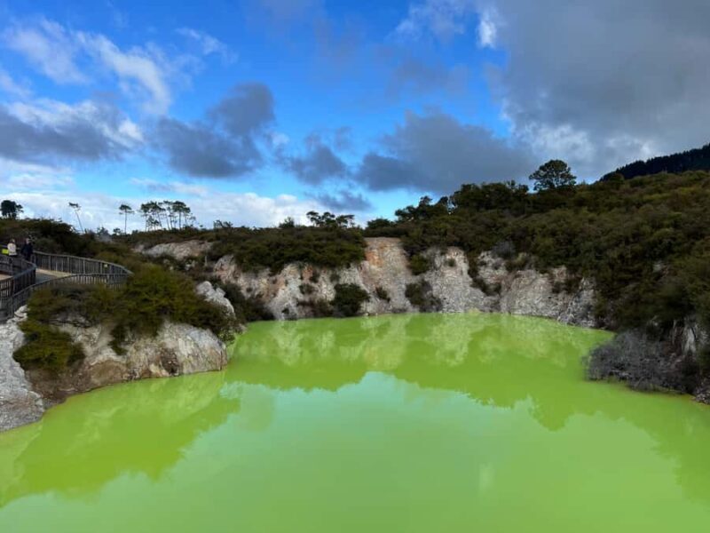 From Hamilton - WAI-O-TAPU, Redwood & Blue Springs Day Tour - A Full-Day Adventure Through Iconic North Island Sites
