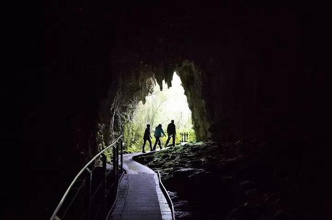 From Hamilton: Waitomo Glowworm & Cave Explorer Small Group Tour - The Sum Up