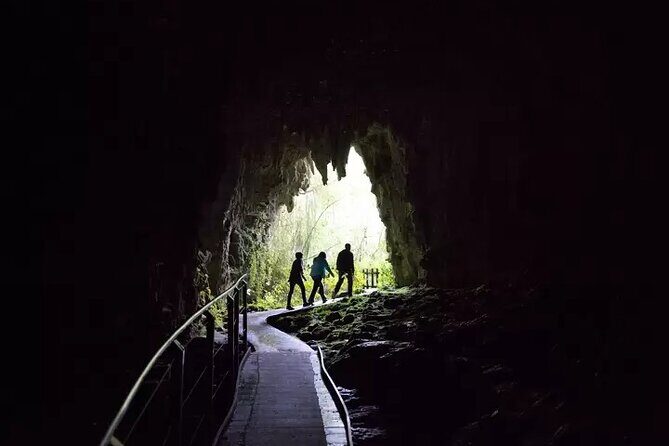 From Hamilton: Waitomo Glowworm & Cave Explorer Small Group Tour - FAQ