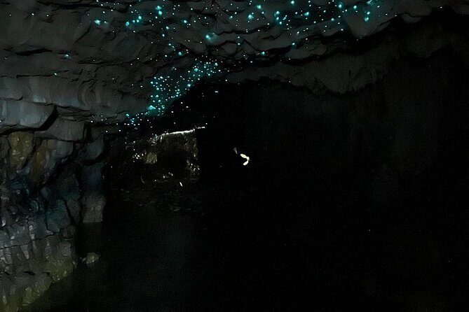 From Hamilton: Waitomo Glowworm & Cave Explorer Small Group Tour - Starting in Hamilton: Convenience and Comfort