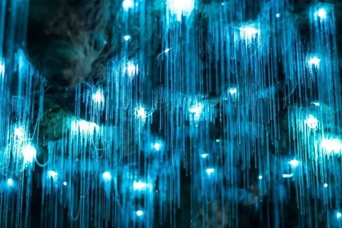 From Hamilton: Waitomo Glowworm & Cave Explorer Small Group Tour - Practical Considerations and Value