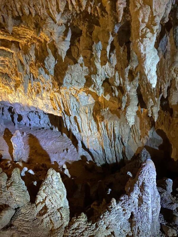 From Hamilton: Waitomo Glowworm Caves Explorer Small Group - The Itinerary in Detail: What to Expect