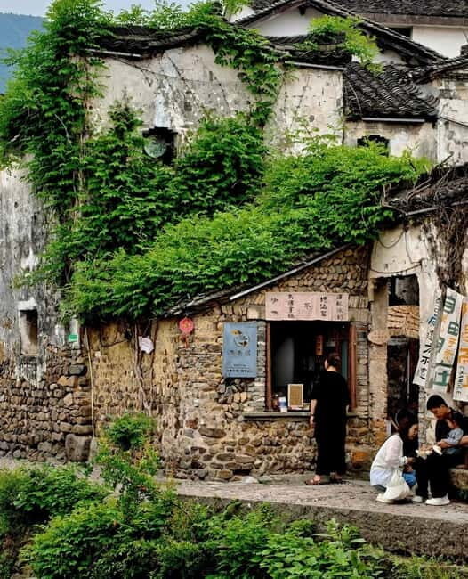 From Hangzhou: Longwu Tea Village, Longmen Town & Dam Tour - Practical Details and What’s Included