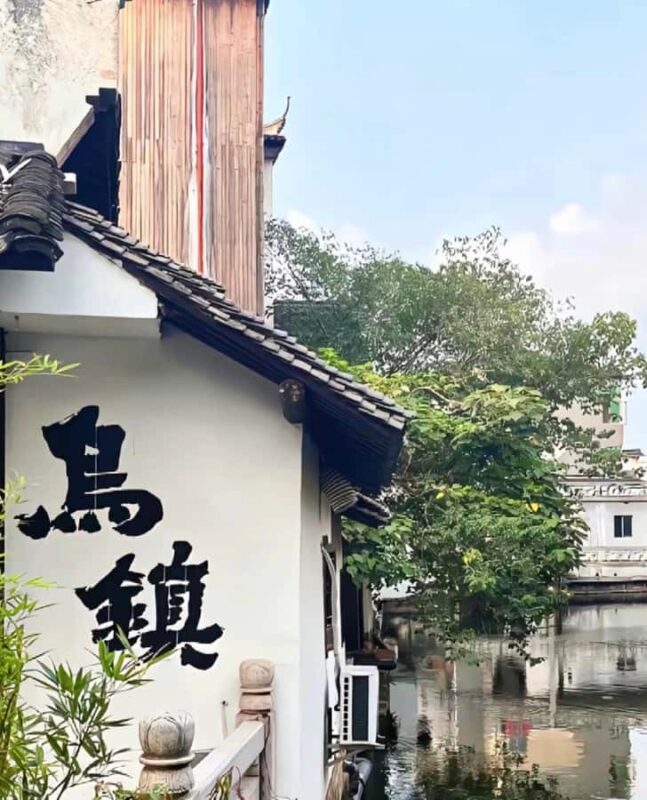 From Hangzhou: Wuzhen Water Town Tour with Riverside Essence - Key Points