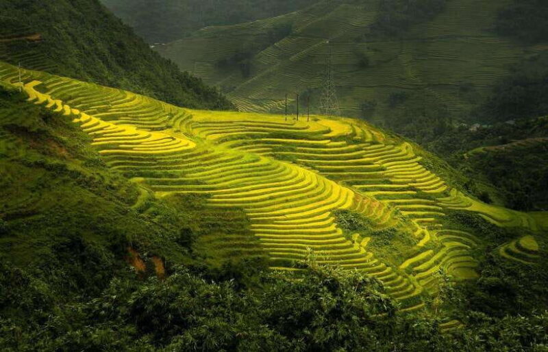 From Hanoi: 1-day Sapa Trekking Tour With Overnight Bus - Highlights of the Trek