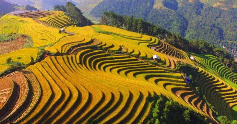 From Hanoi: 1-day Sapa Trekking Tour With Overnight Bus - Return and Reflection