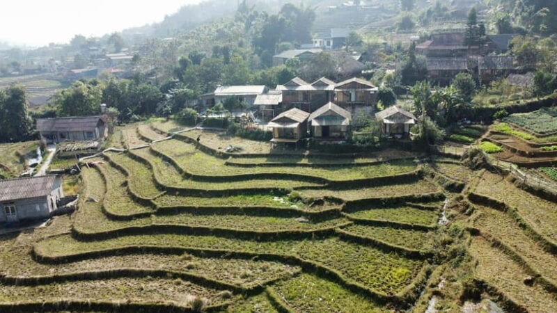 From Hanoi: 1-day Sapa Trekking Tour With Overnight Bus - Who This Tour Is Best For