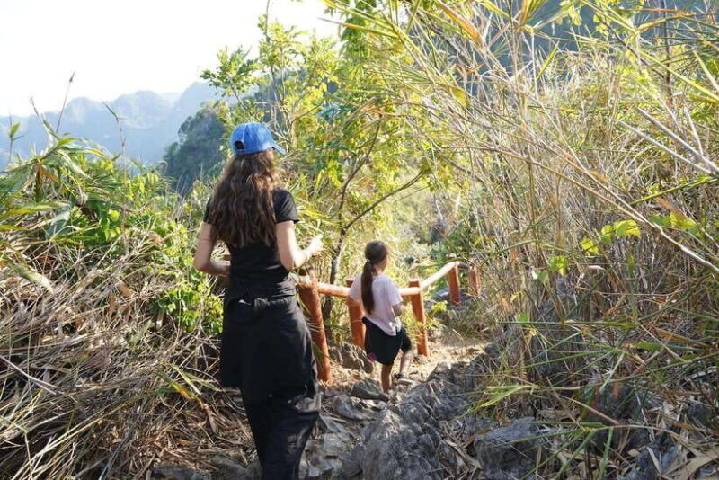 From Hanoi: 2-Day Cat Ba Island Adventure - Food & Accommodation