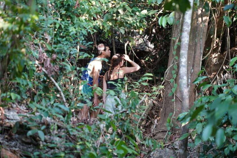 From Hanoi: 2-Day Cat Ba Island Adventure - The Sum Up