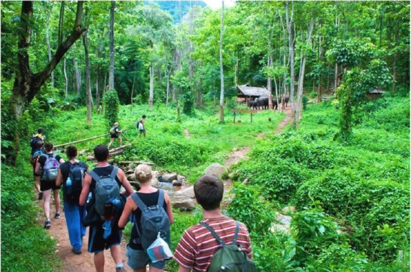 From Hanoi: 2-Day Ha Long Bay Tour with Ninh Binh and Cruise - What the Tour Does Well