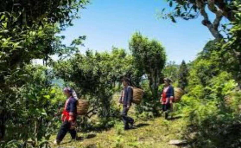 From Hanoi: 2-Day Ha Thanh Waterfall and Khuoi My Village - Key Points