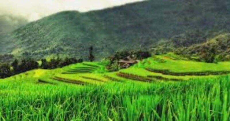 From Hanoi: 2-Day Ha Thanh Waterfall and Khuoi My Village - Final Thoughts: Who Is This Tour For?