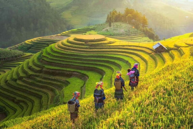 From Hanoi: 2-Day Luxury Sapa Trekking Tour with Homestay - Key Points