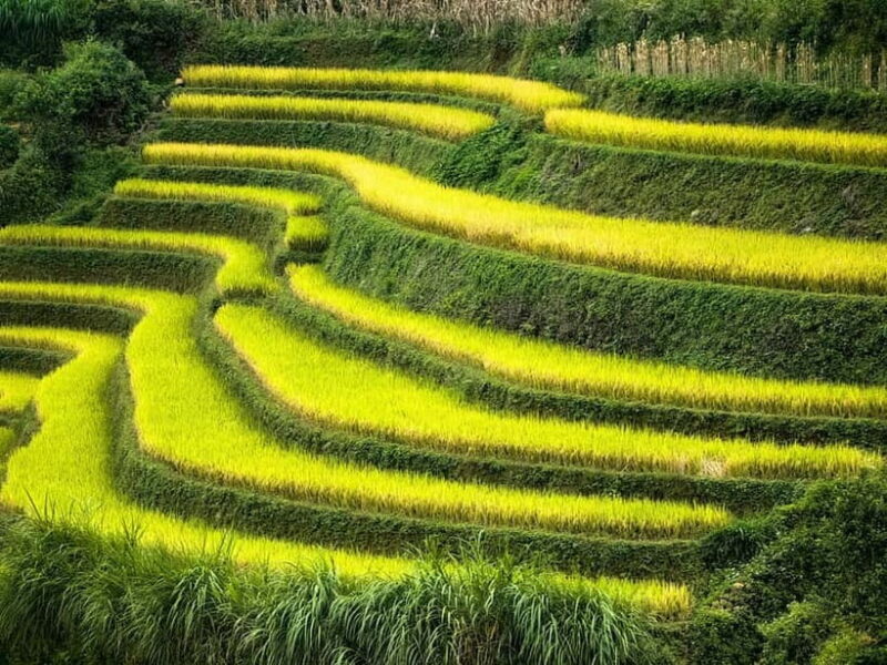 From Hanoi: 2-Day Mu Cang Chai and Khau Pha Pass Tour - The Itinerary Breakdown: What You Can Expect