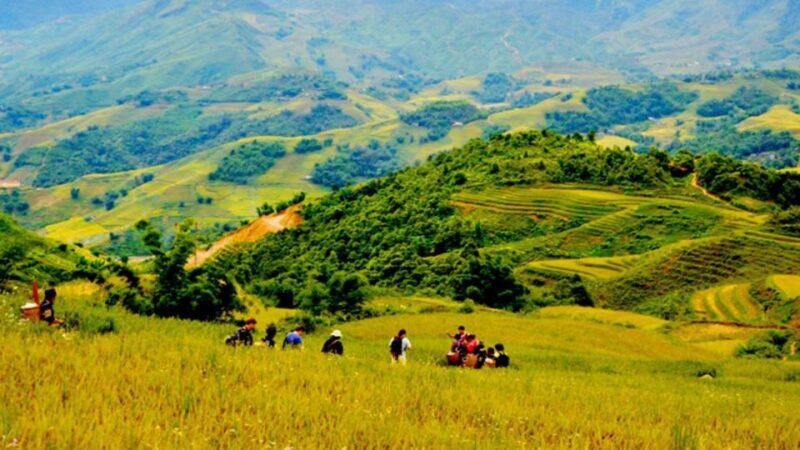 From Hanoi: 2-Day Overnight Sapa Tour by Limousine - Practical Tips for Travelers