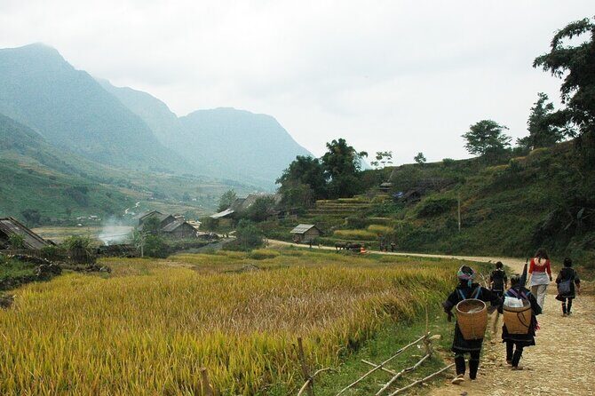 From Hanoi: 2-Day Sa Pa Homestay Trekking Tour by Cabin Bus - Authentic Cultural Encounters and Scenic Beauty