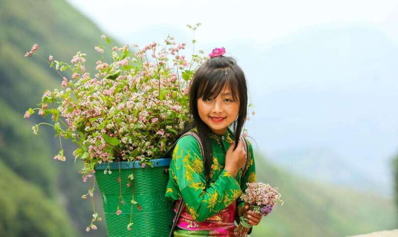 From Hanoi: 2-Day Sapa-Cat Cat-Ham Rong Mountain by Bus - Introduction