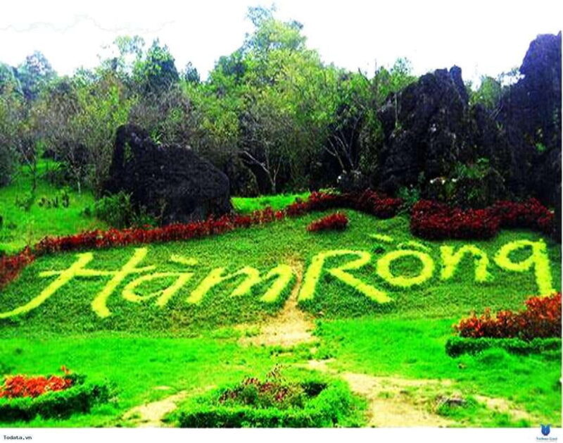 From Hanoi: 2-Day Sapa-Cat Cat-Ham Rong Mountain by Bus - Authentic Experiences and Traveler Insights