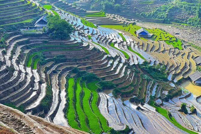 From Hanoi: 2-Day Sapa Scenic Highlands with overnight Homestay - Summary of the Experience