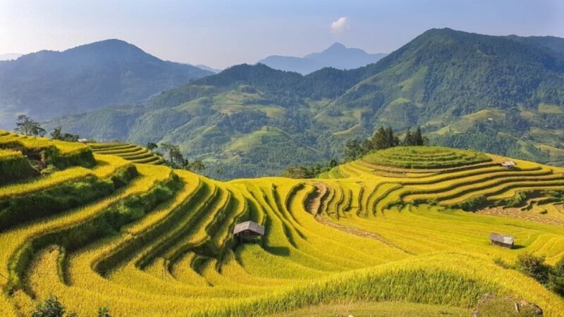 From Hanoi: 2 Day Sapa Trekking To Village & Bungalow, Meals - The Sum Up