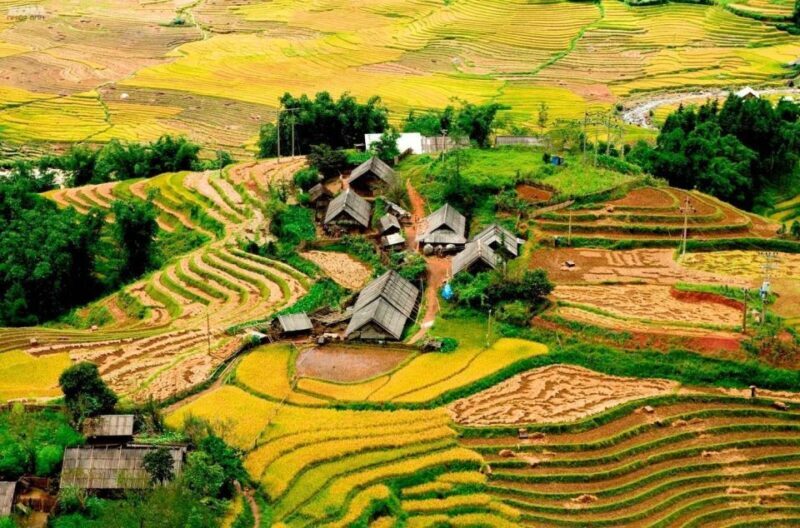 From Hanoi: 2-Day Sapa Trekking Trip with Homestay & Meals - An Authentic Journey into Vietnam’s Highland Life