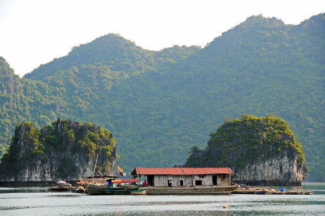 From Hanoi: 2 Days 1 Night Cat Ba National Park, Lan Ha Bay - Detailed Breakdown of the Itinerary and What to Expect