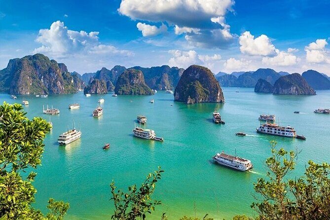 From Hanoi: 2-Days Ha Long Bay Cruise with Surprise Cave & Island - Key Points