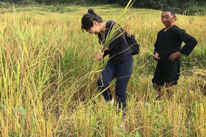 From Hanoi: 2 Days Sapa Trek & Fansipan Adventure with Dcar - FAQ